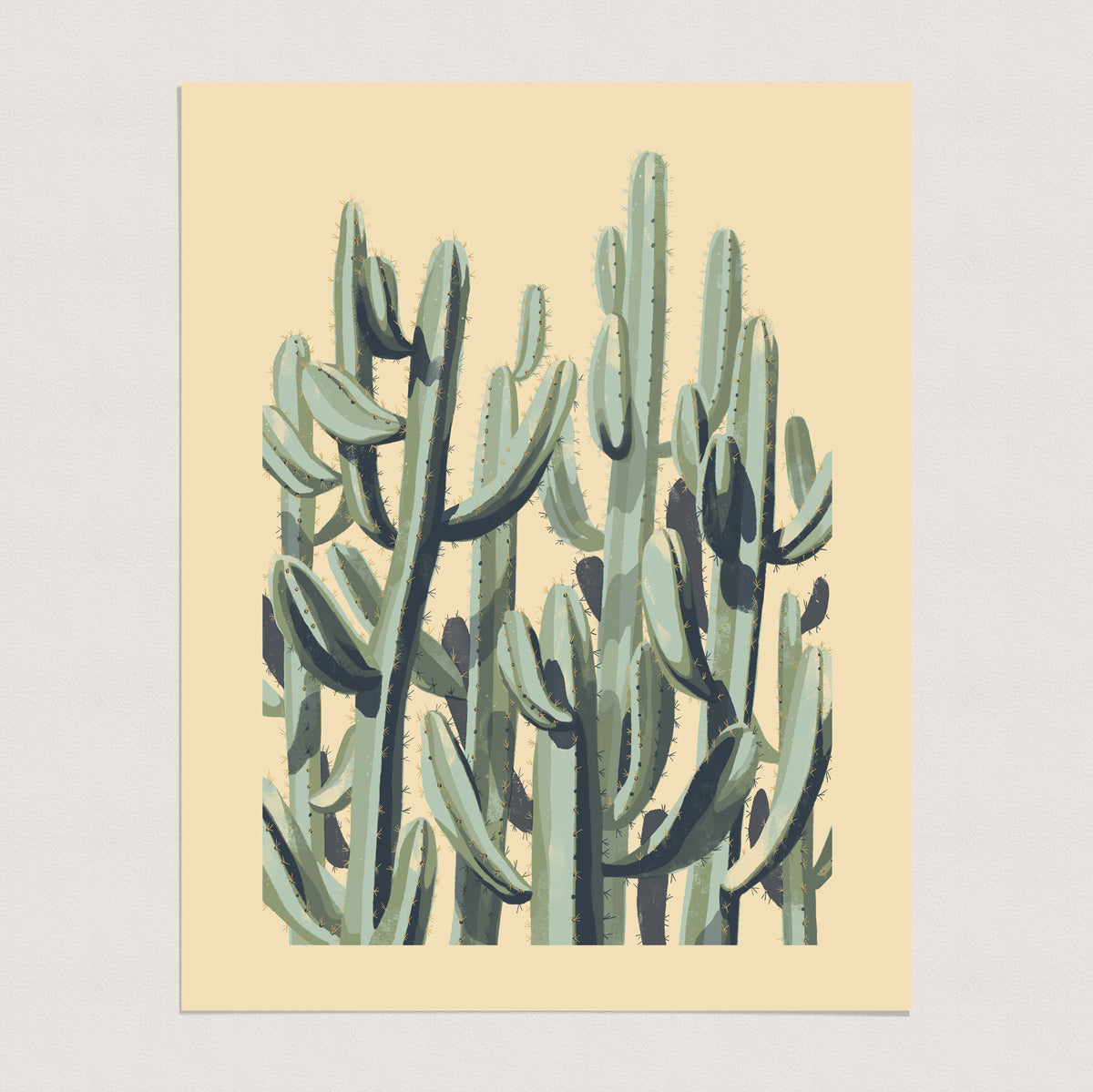Cactus Study 1 – Chris Turnham Illustration